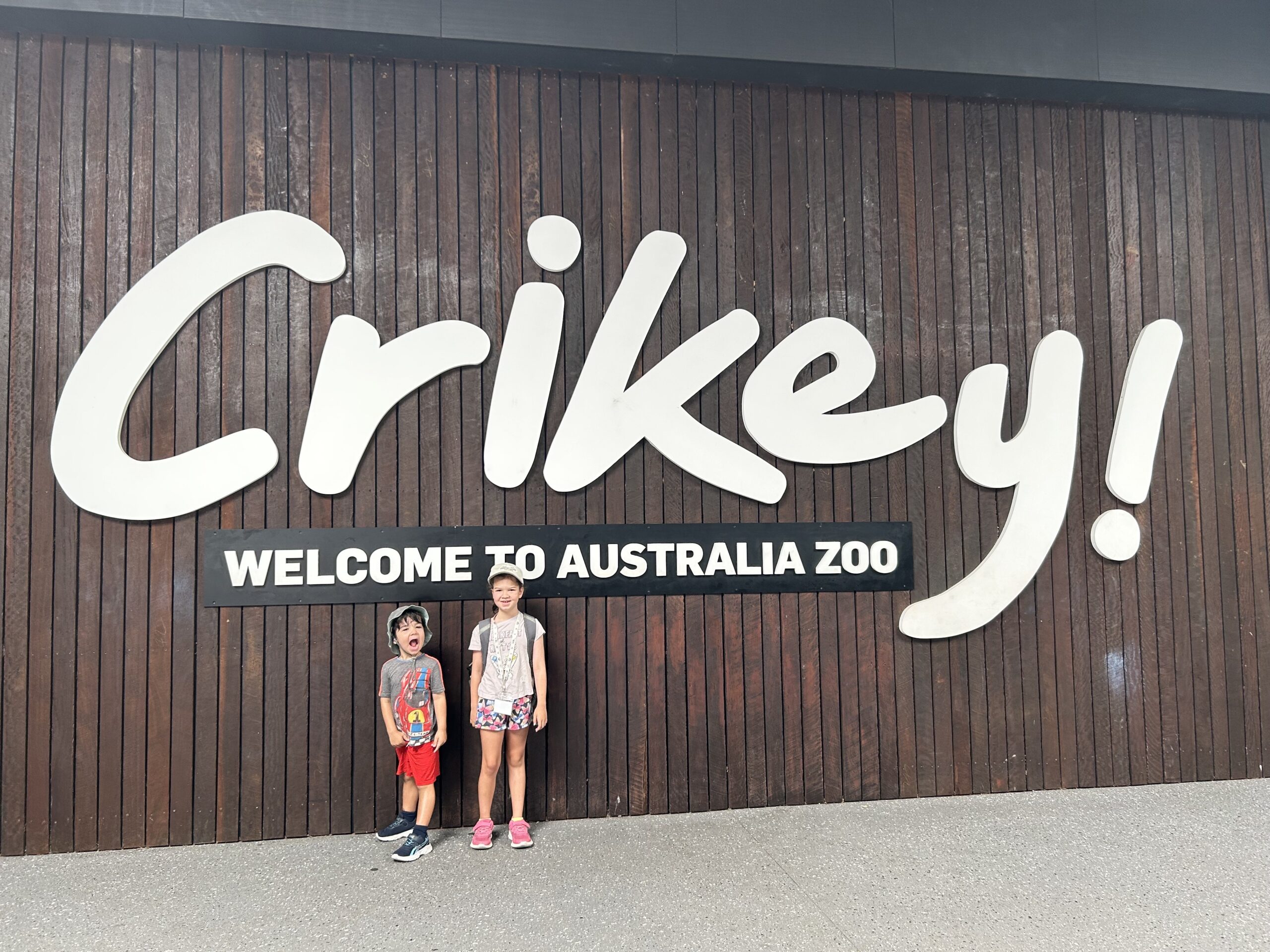 AUSTRALIA ZOO: Zookeeper For A Day Review - Tea Room Travels