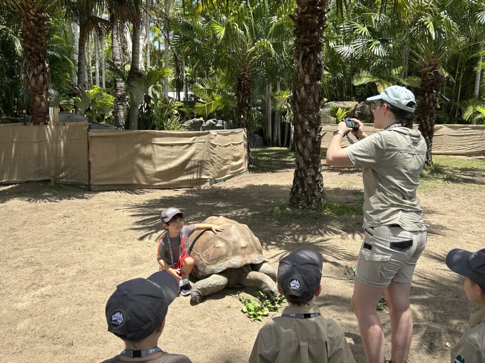 AUSTRALIA ZOO: Zookeeper For A Day Review - Tea Room Travels